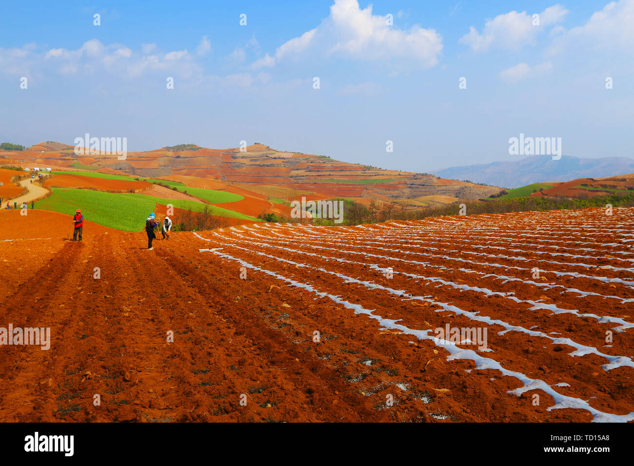 Earth grounding hi-res stock photography and images - Alamy