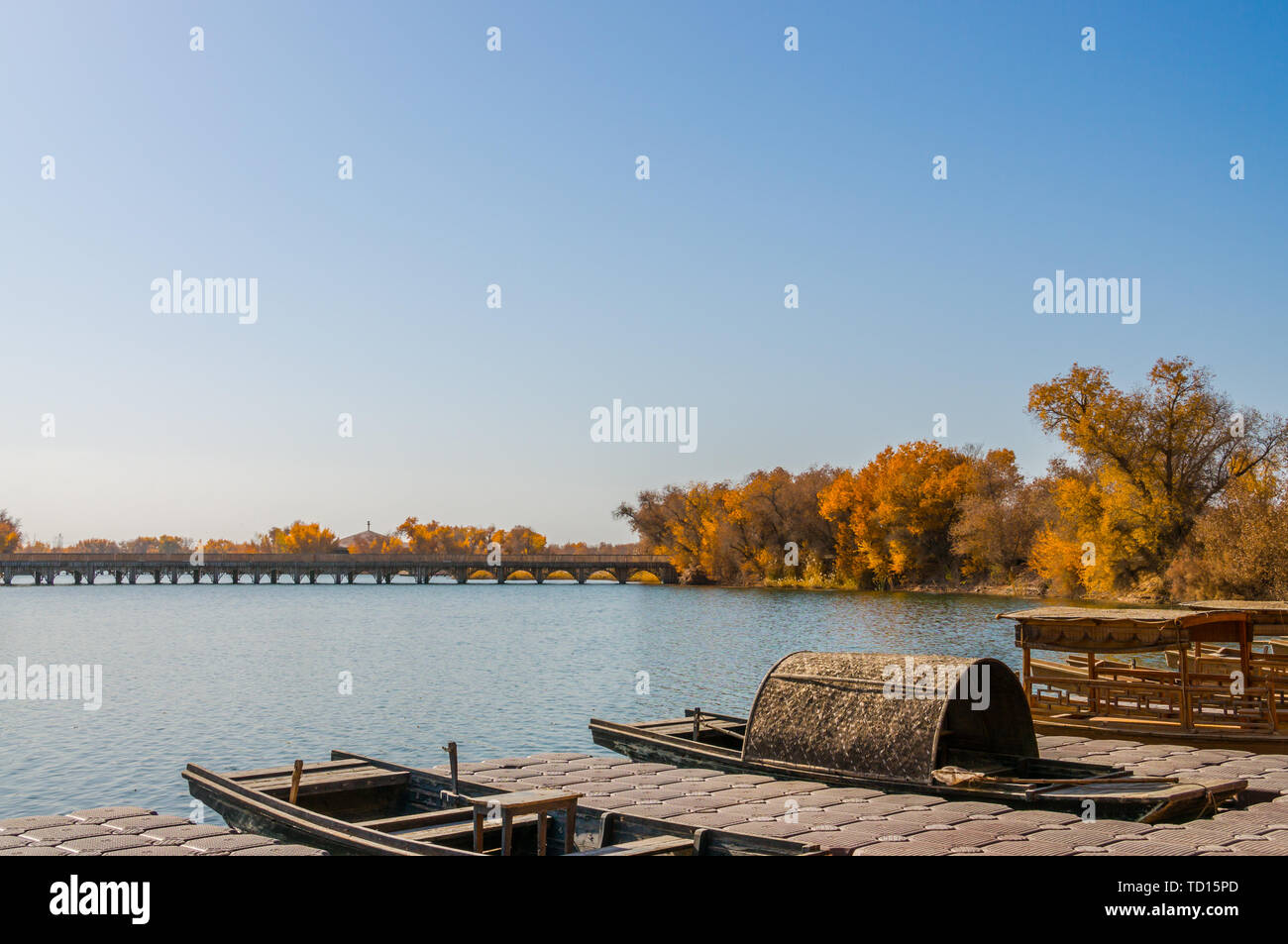 Poplar Lin, lake, reflection, beautiful scenery Stock Photo - Alamy