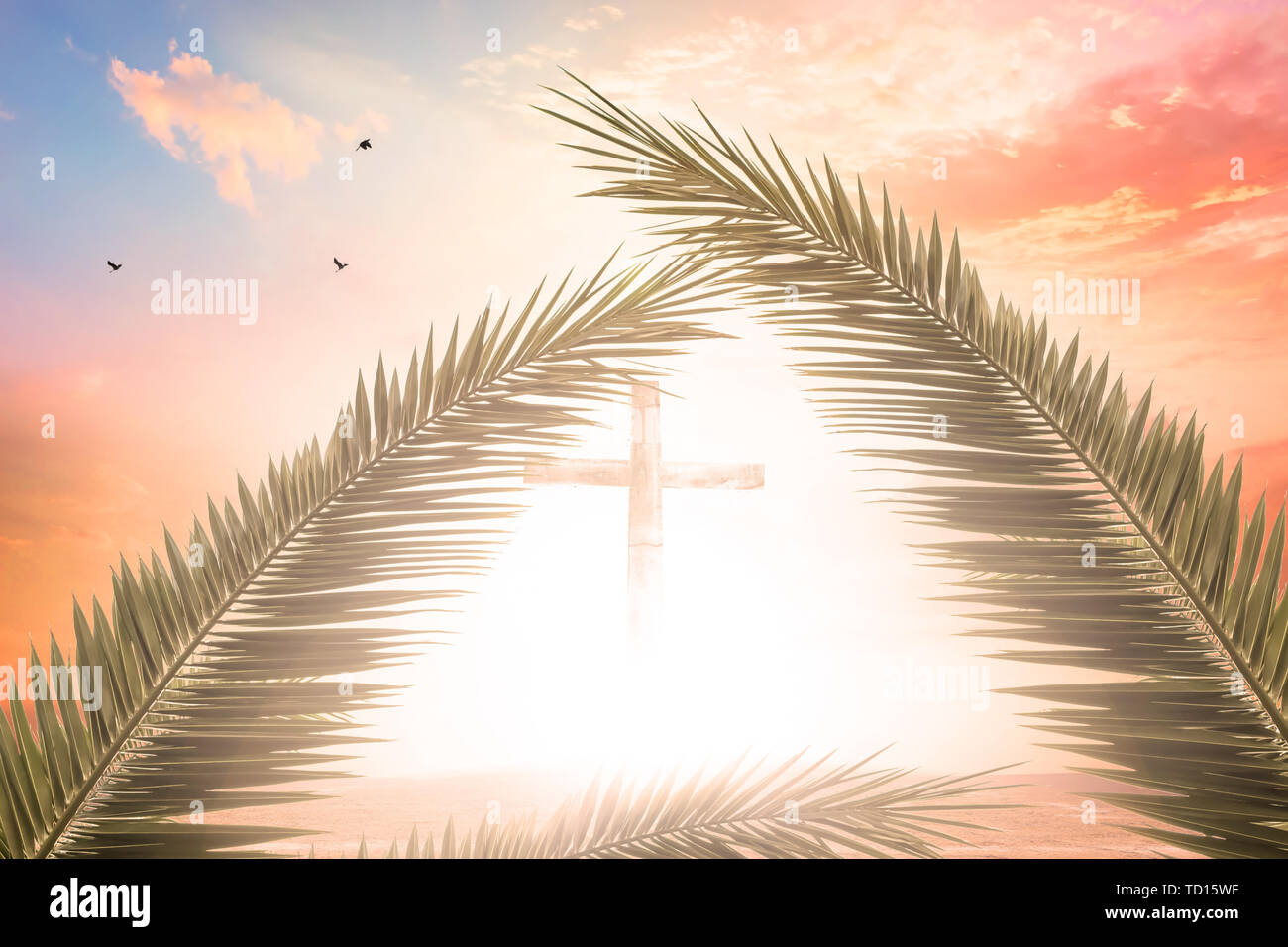 Palm sunday border hi-res stock photography and images - Alamy