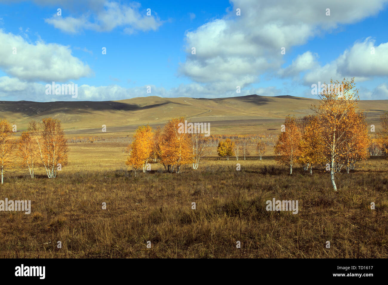 The magnificent scenery of the Xilingol prairie Stock Photo - Alamy