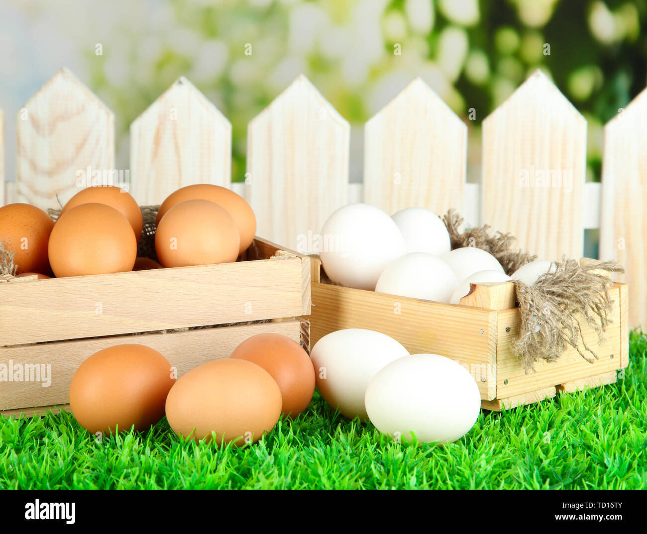 Many eggs in boxes on grass on bright background Stock Photo - Alamy