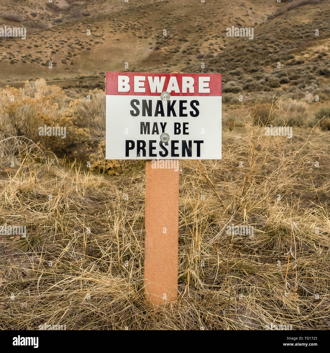 Beware Of Snakes Sign High Resolution Stock Photography and Images - Alamy