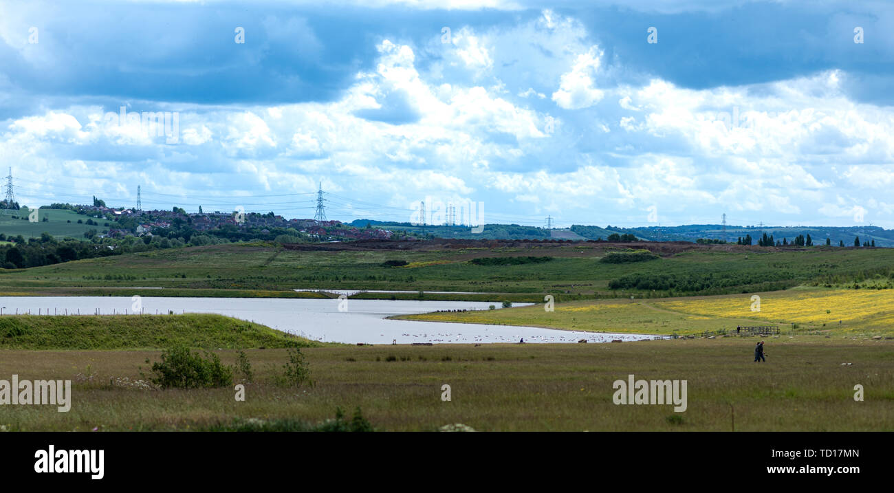 View of Waverley Lake, Rotherham, South Yorkshire, UK. Taken in June ...