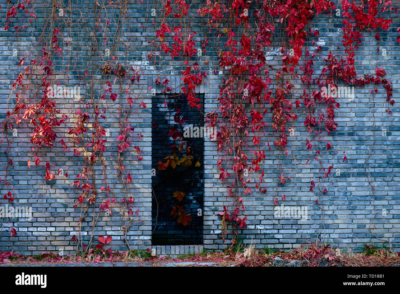 Red Brick Art Gallery Autumn Col Stock Photo - Alamy