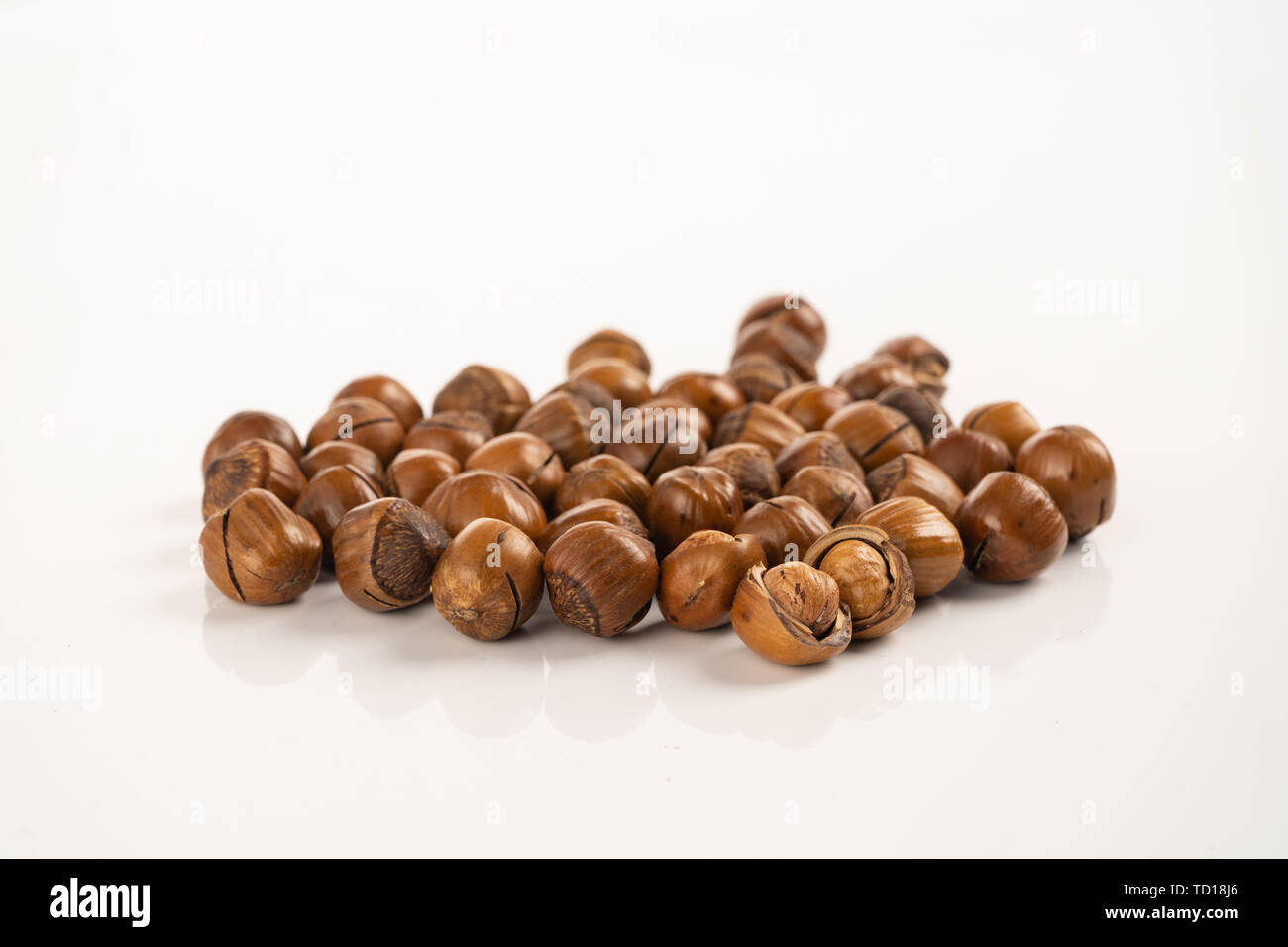 Northeast characteristic open hazelnut Stock Photo - Alamy