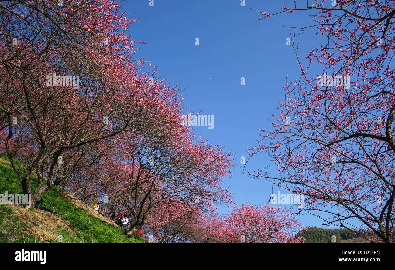 Meishan village hi-res stock photography and images - Alamy