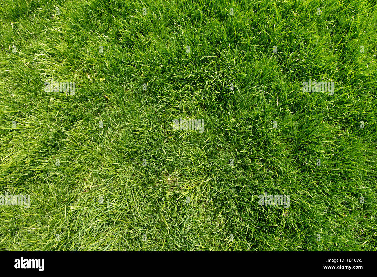 Grass background material Stock Photo - Alamy