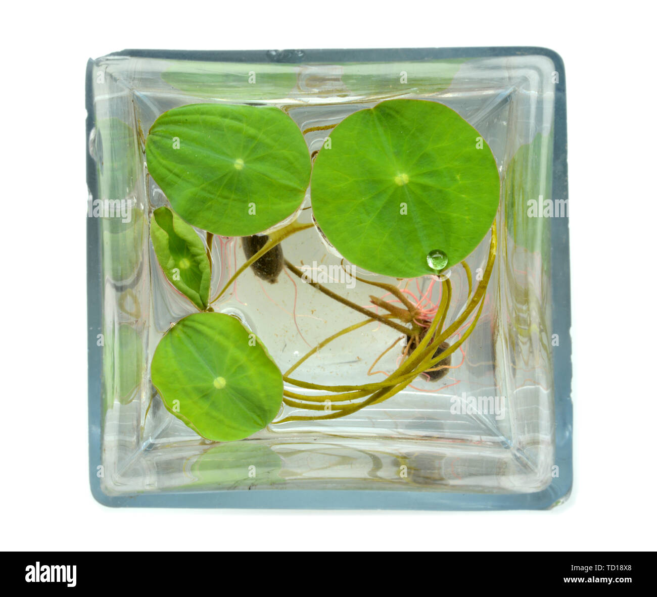 Overhead water tank Cut Out Stock Images & Pictures - Alamy