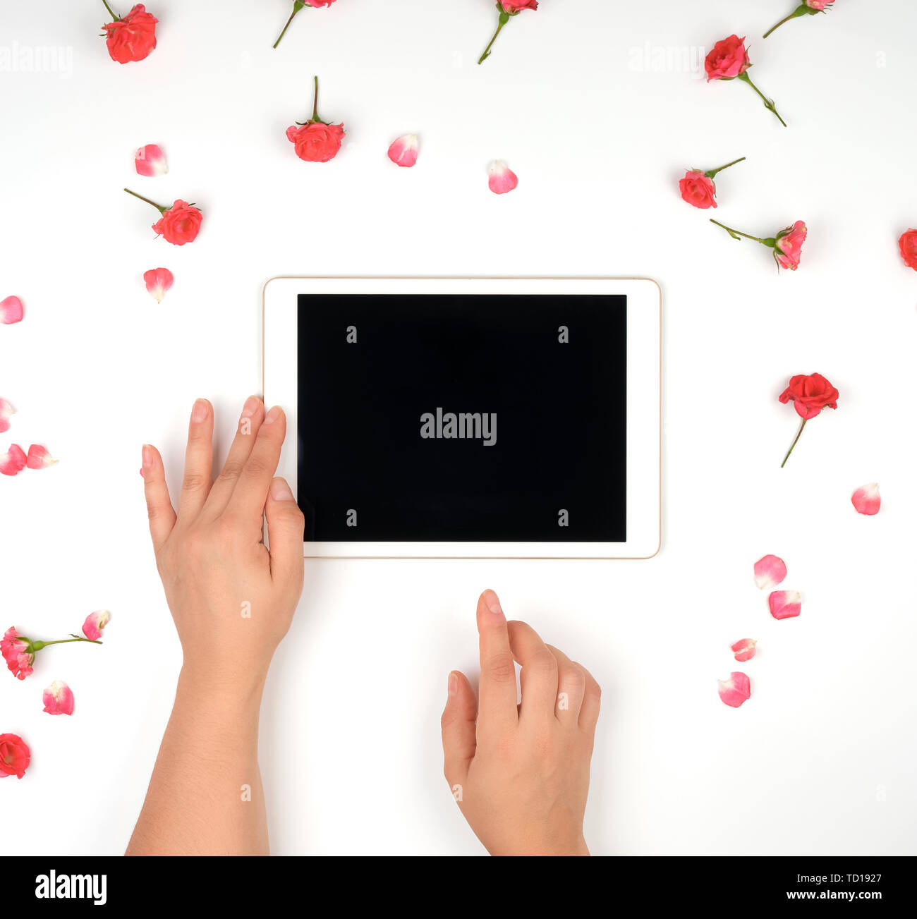 white electronic tablet with a blank black screen and two female hands ...