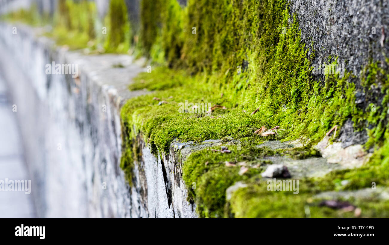 Road no man guide to lawn landscape hi-res stock photography and images ...