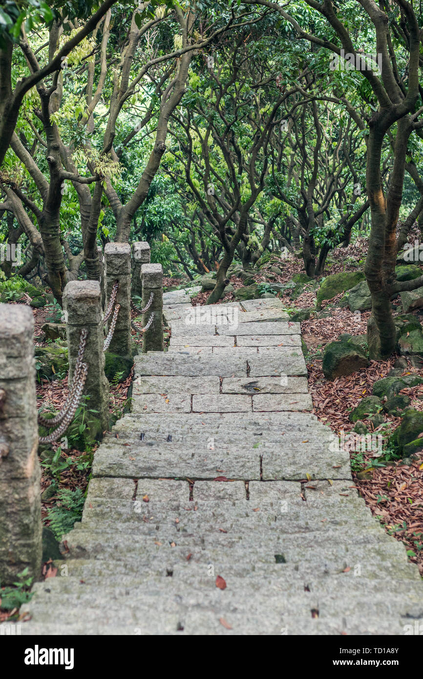 Bluestone Road High Resolution Stock Photography and Images - Alamy