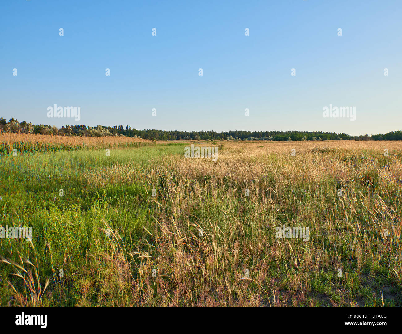 Kherson steppe hi-res stock photography and images - Alamy