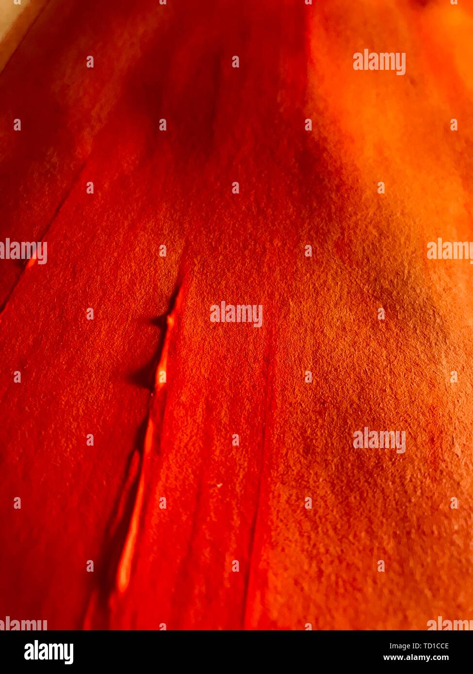 Fiery orange paper texture background Stock Photo - Alamy