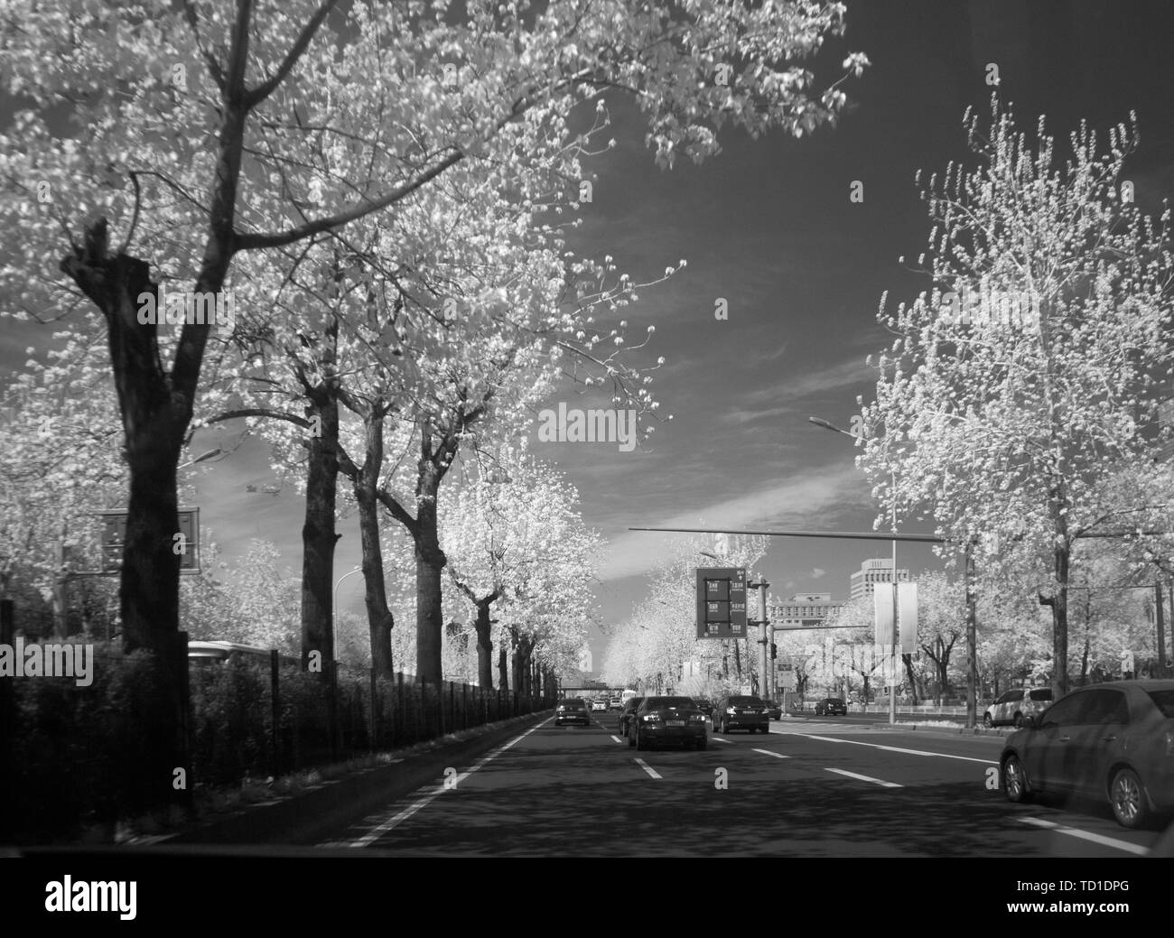 Infrared black-and-white shooting Stock Photo - Alamy