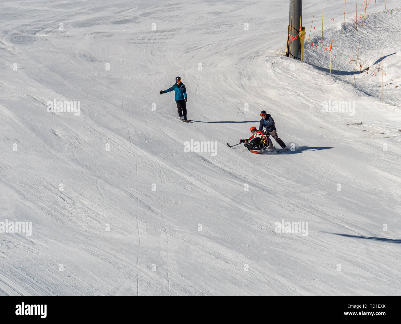 Adaptive sports snow hi-res stock photography and images - Alamy