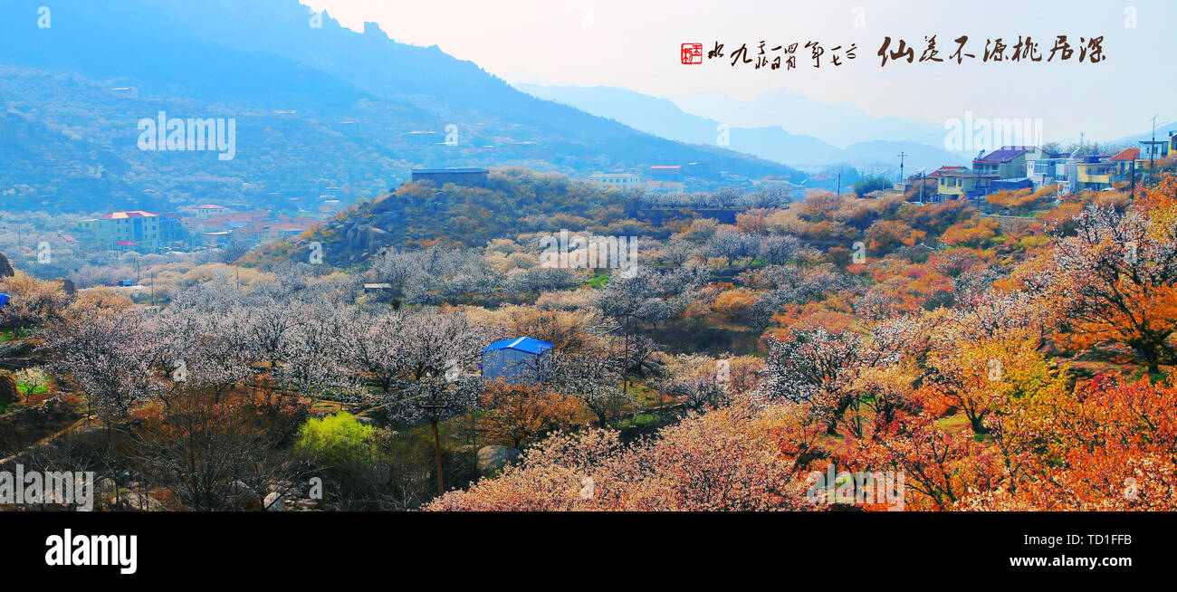 Vision and scenery plants hi-res stock photography and images - Alamy