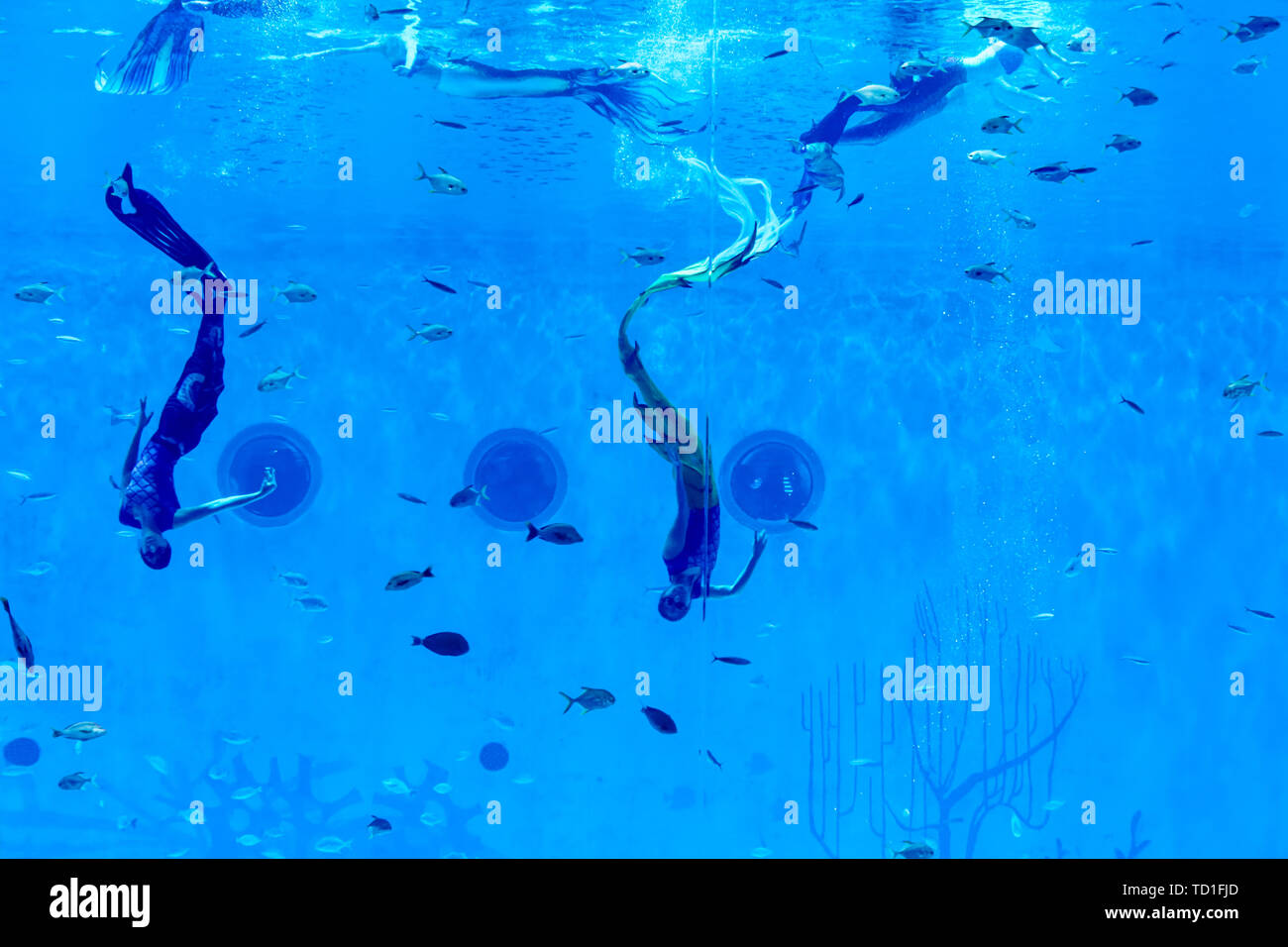 Mermaid performance at Haichang Ocean Park, Shanghai Stock Photo - Alamy