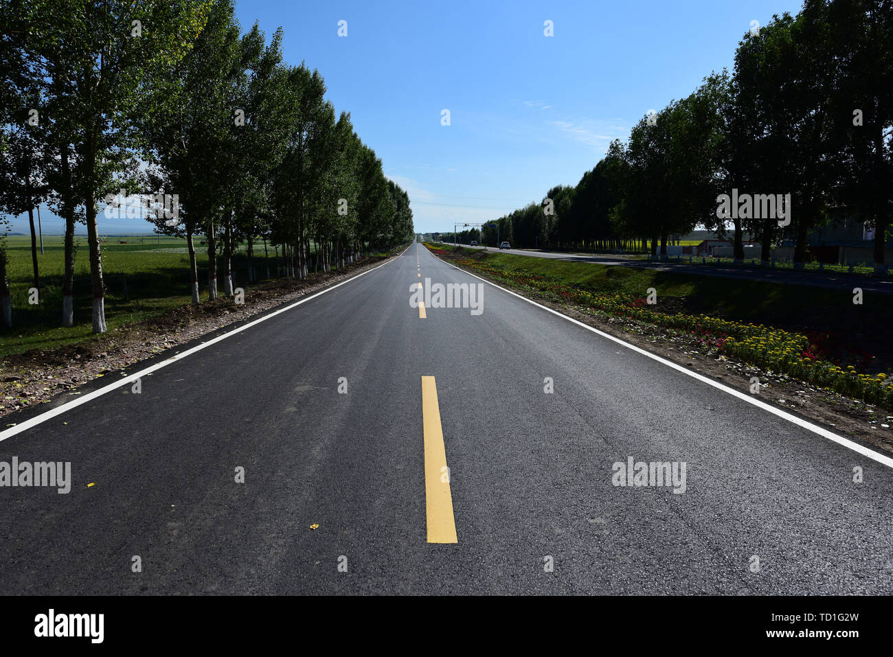 Road, asphalt guide, street expressway with no one on the road, driving ...