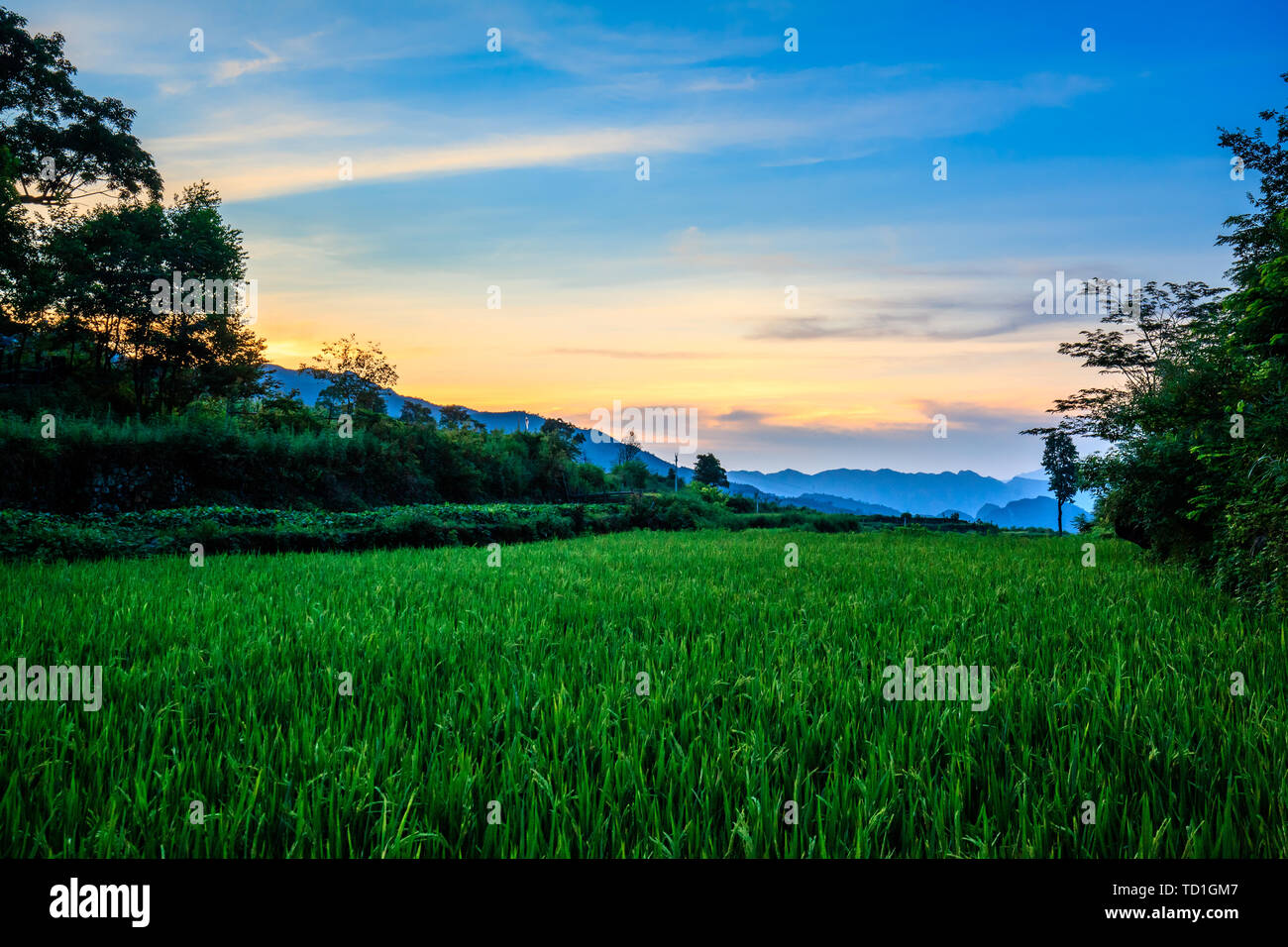 Nangang Pai Yaozhai natural scenery Stock Photo - Alamy