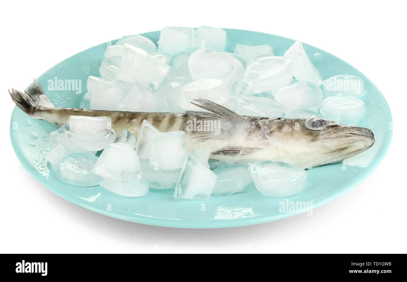 Frozen fish in plate with ice isolated on white Stock Photo - Alamy