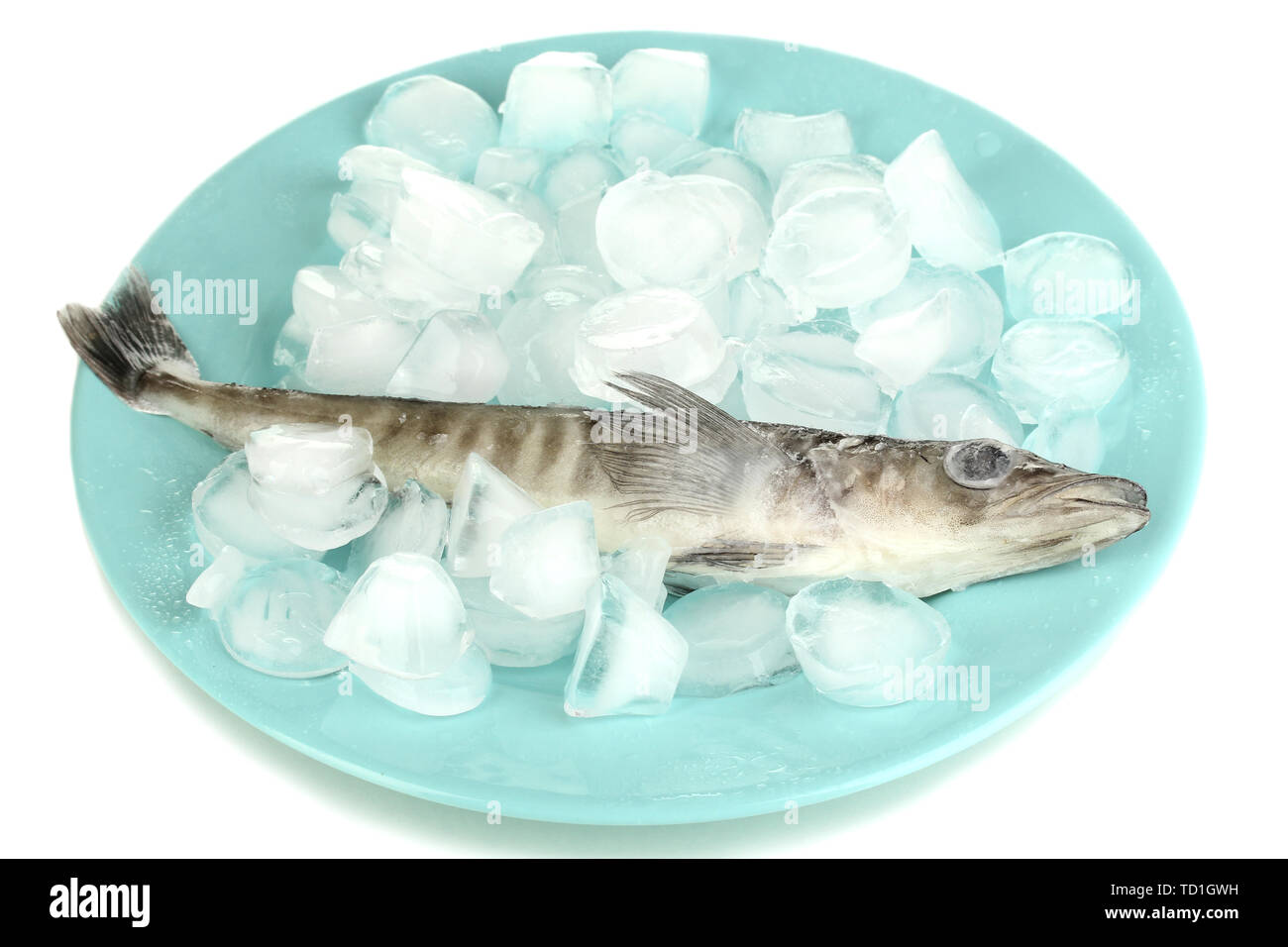 Frozen fish in plate with ice isolated on white Stock Photo - Alamy
