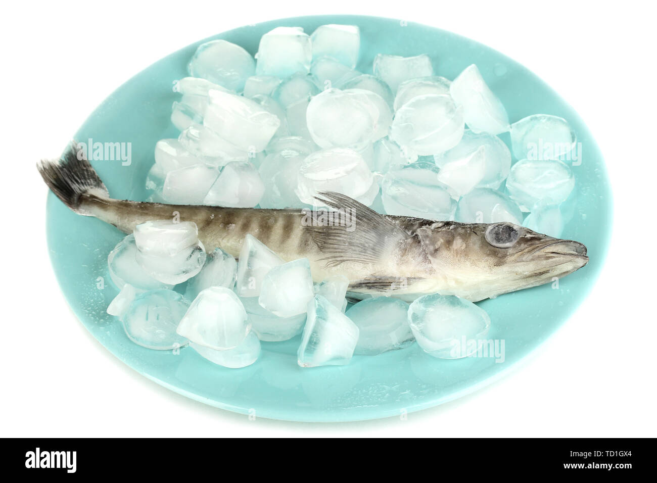 Frozen fish in plate with ice isolated on white Stock Photo - Alamy