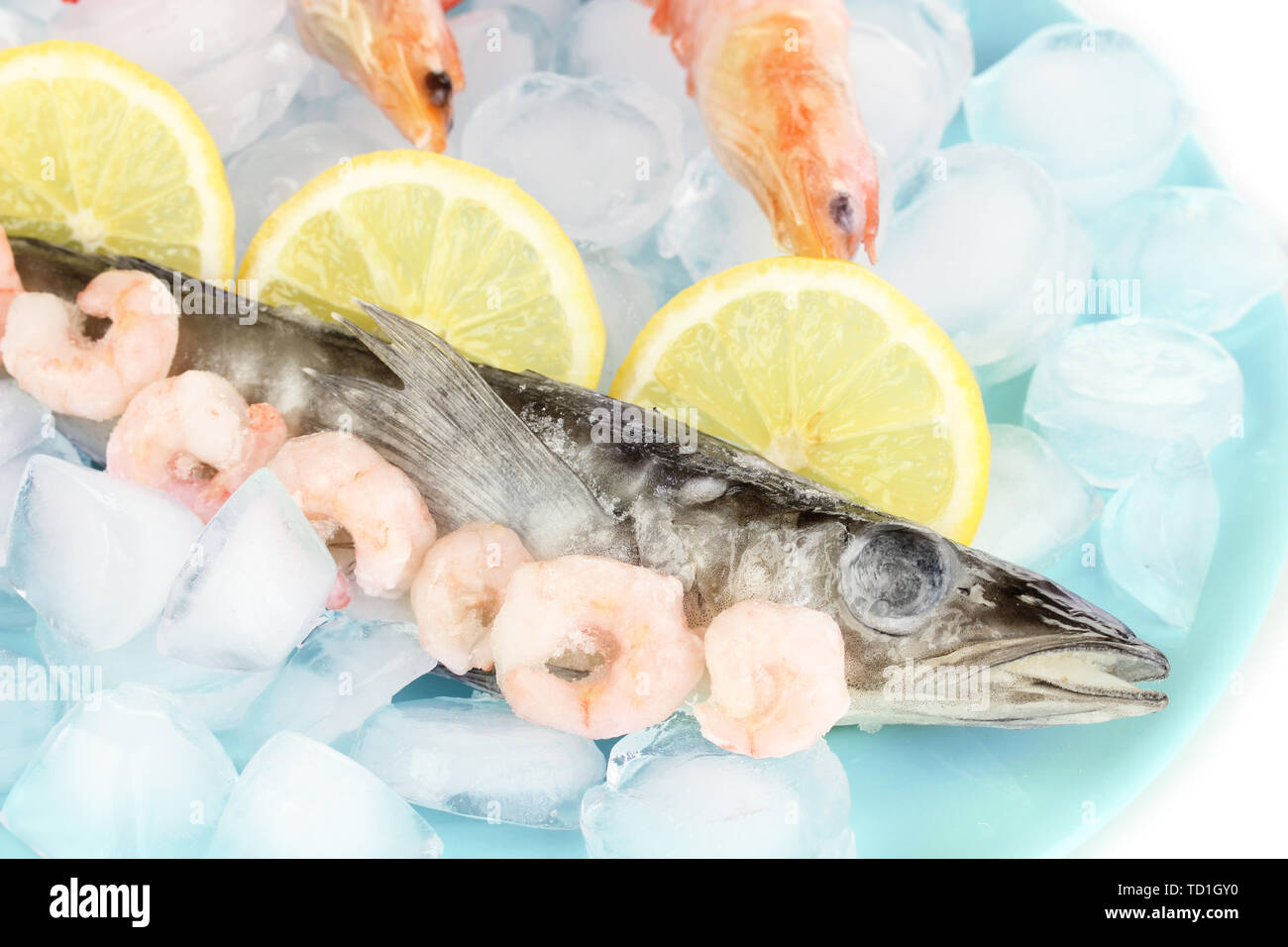 Frozen fish and shrimp in plate with ice isolated on white Stock Photo ...