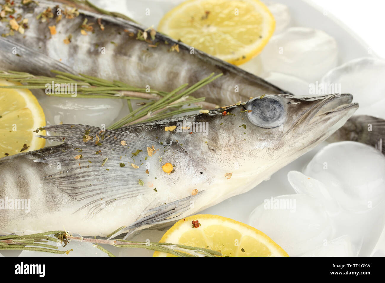 Frozen fishes in plate with ice isolated on white Stock Photo - Alamy