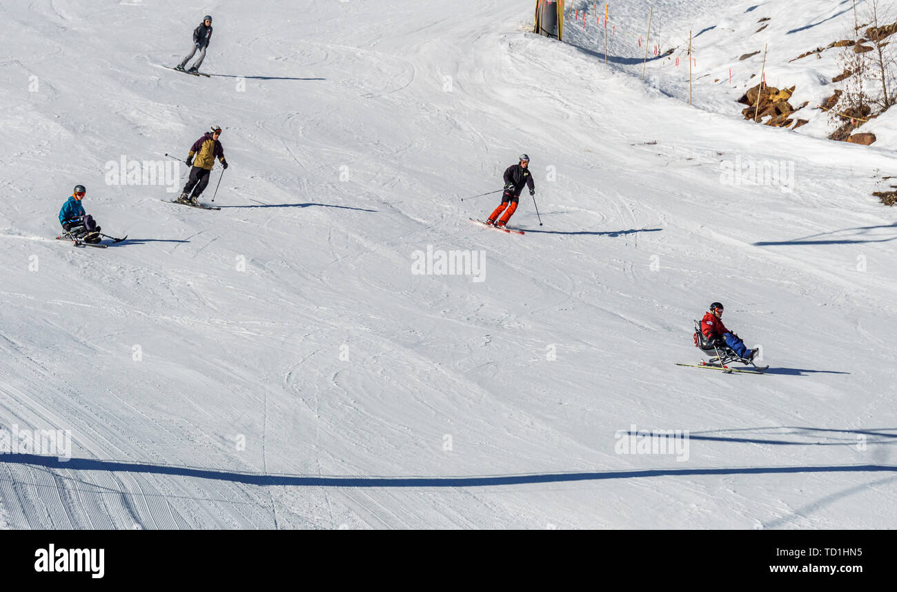 Adaptive sports snow hi-res stock photography and images - Alamy