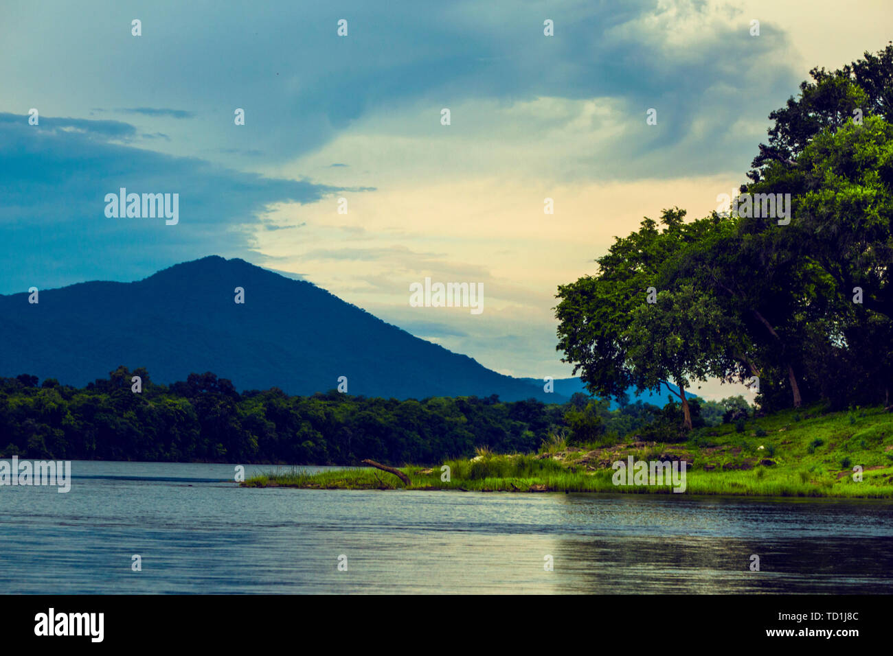 Africa, Zimbabwe, animals, nature pristine, Zambezi river, panorama ...