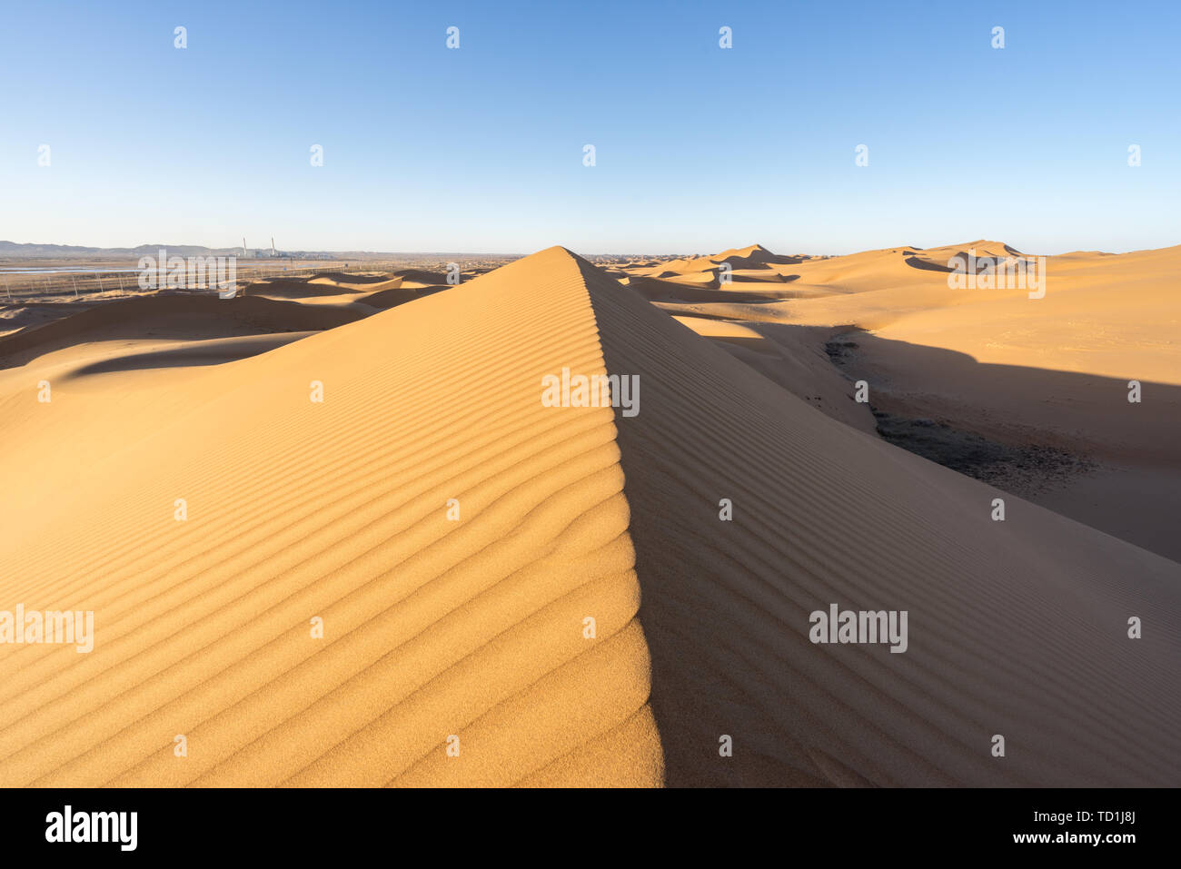 Desert in the sun Stock Photo - Alamy