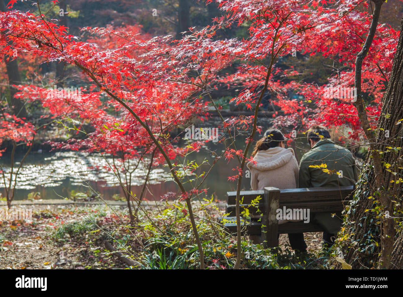 Autumn color of Qixia in Nanjing Stock Photo - Alamy