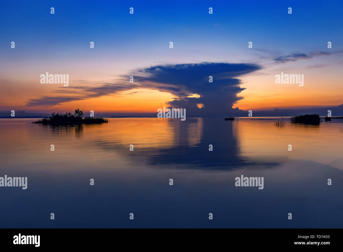 Luoma hi-res stock photography and images - Alamy