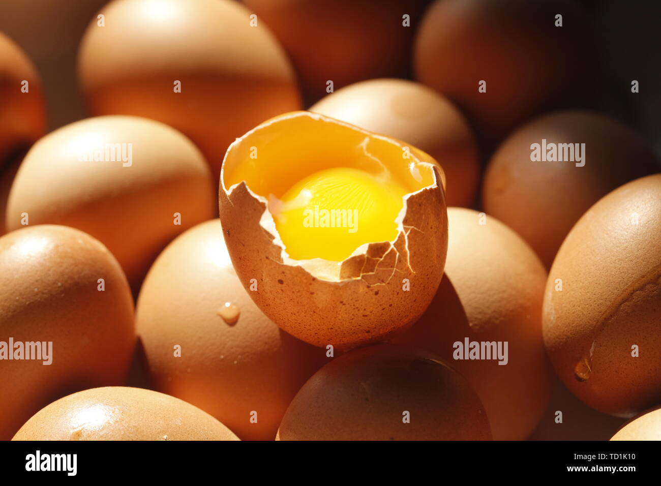 A shattered egg Stock Photo - Alamy