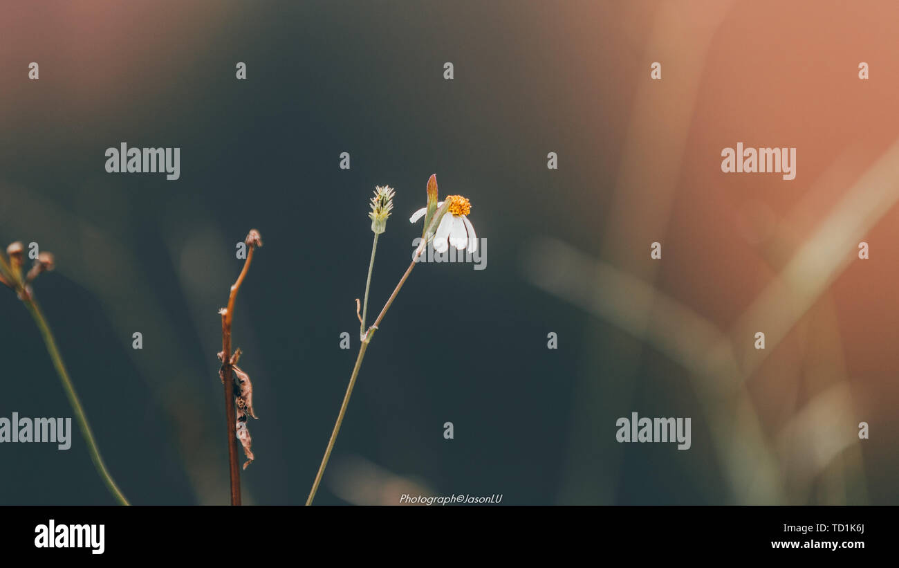 Humanities degree hi-res stock photography and images - Alamy