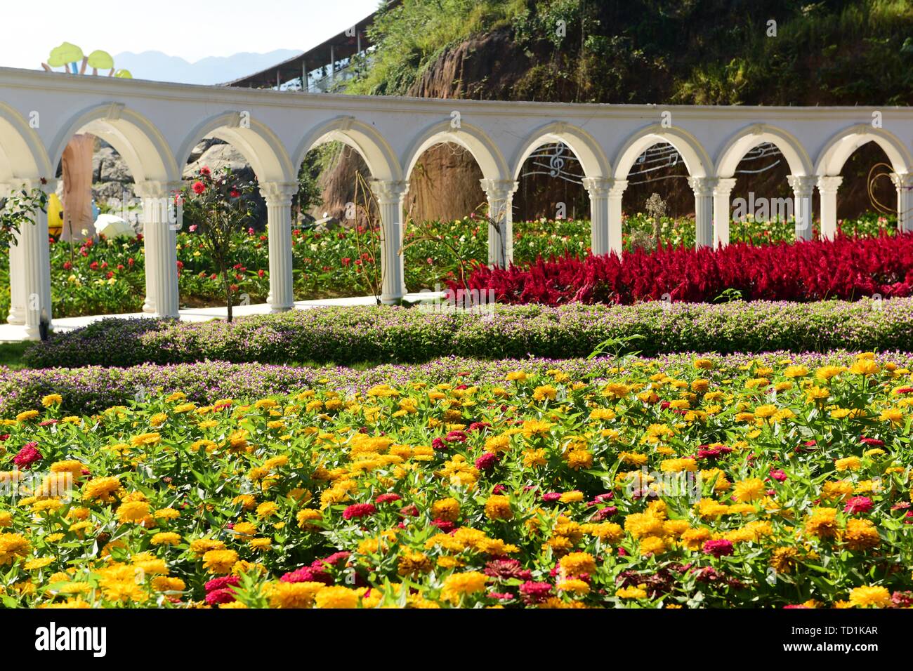 Flower Sea Promenade Stock Photo - Alamy