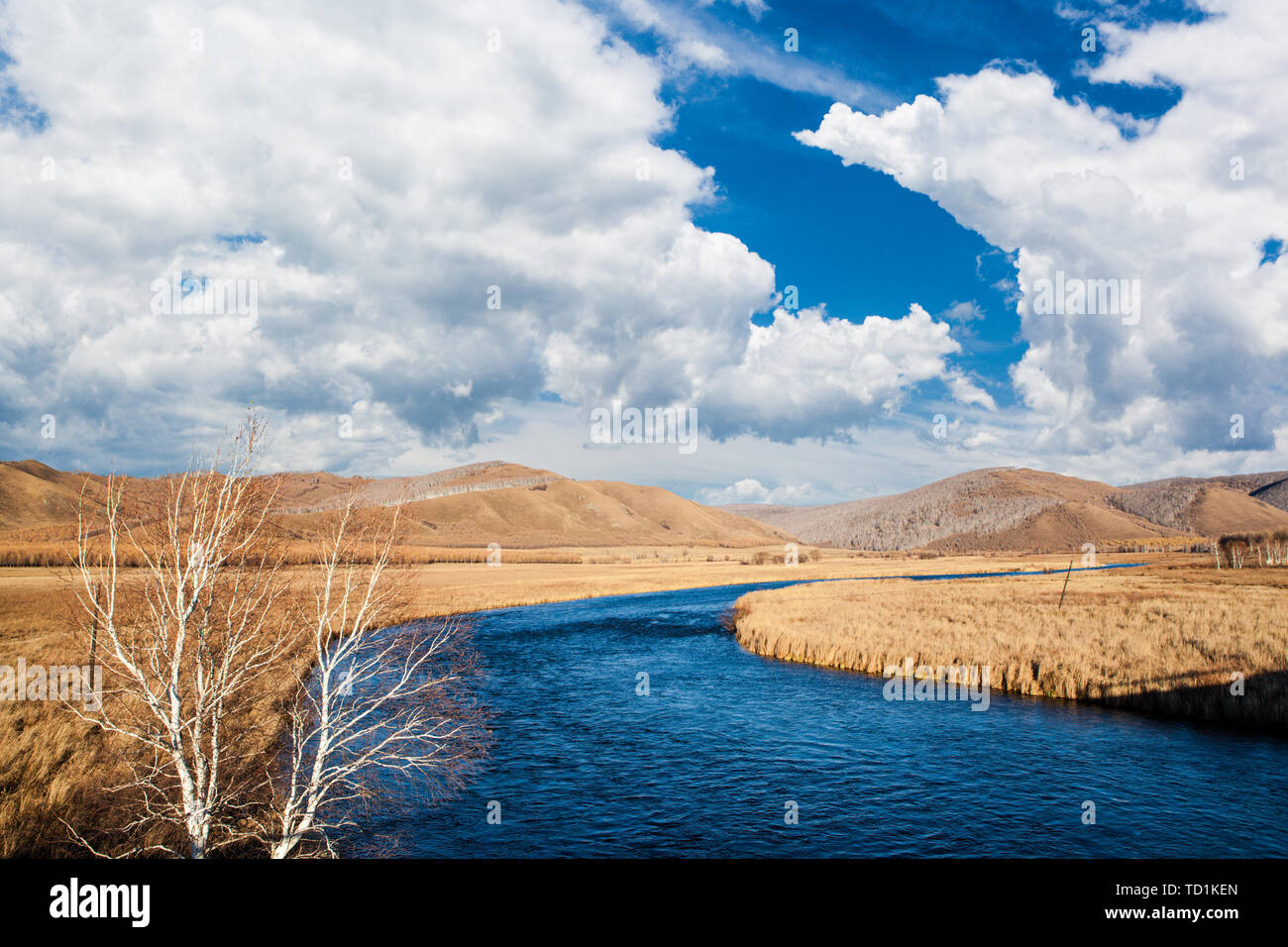 The scenery of Alshan, Inner Mongolia Stock Photo - Alamy