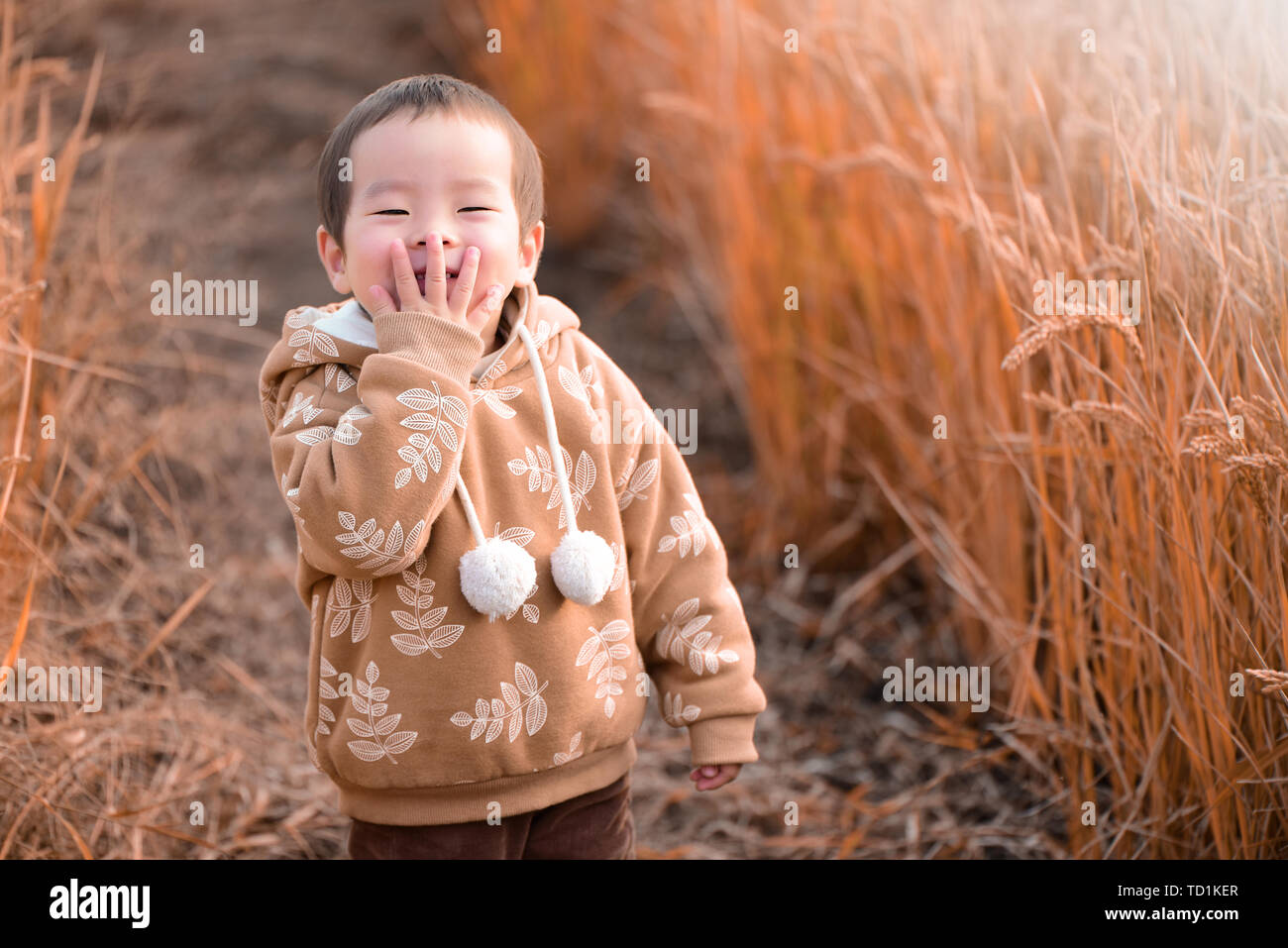 Happy little boy in the rice field Stock Photo - Alamy