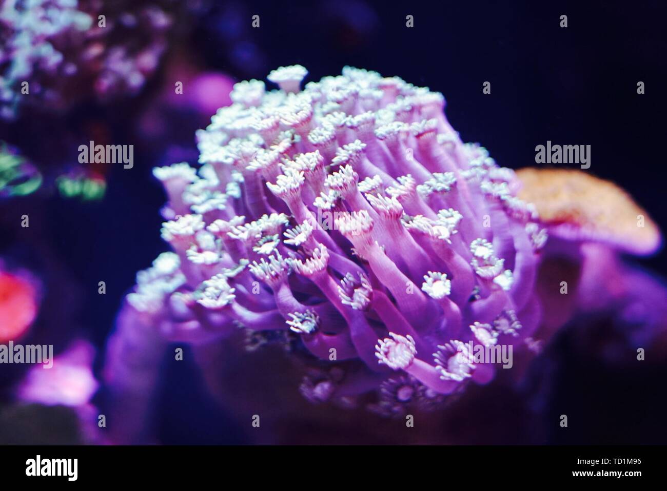 They seem to be happy and don't have to worry about being full and ...