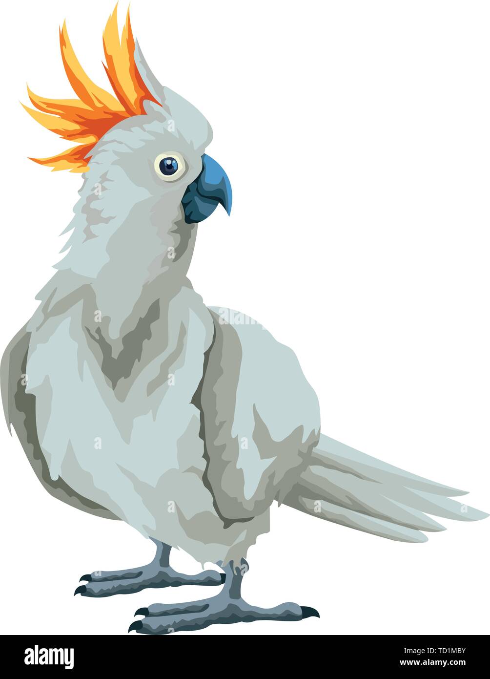 Cockatoo Drawing High Resolution Stock Photography and Images - Alamy