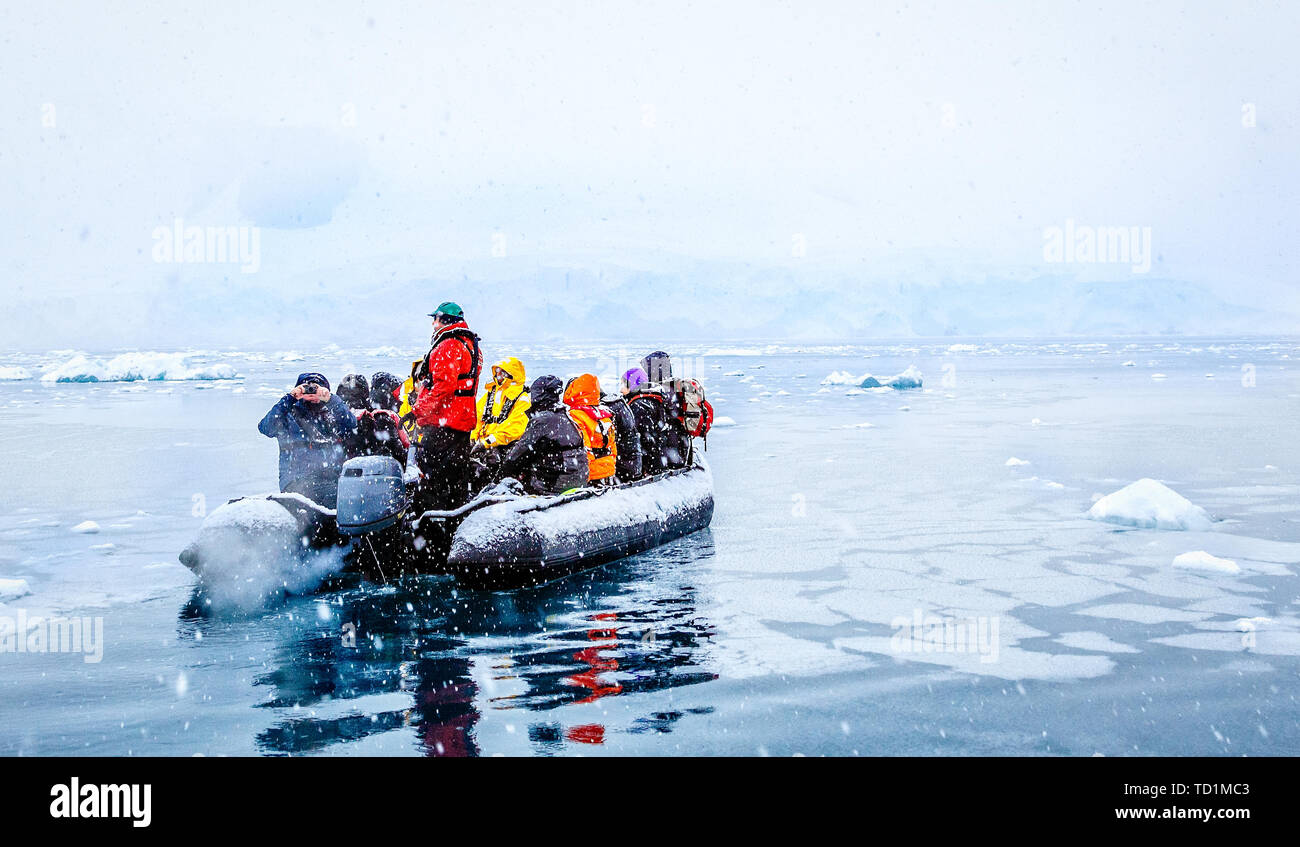 Snowfall over the boat with frozen tourists drifting among icebergs ...