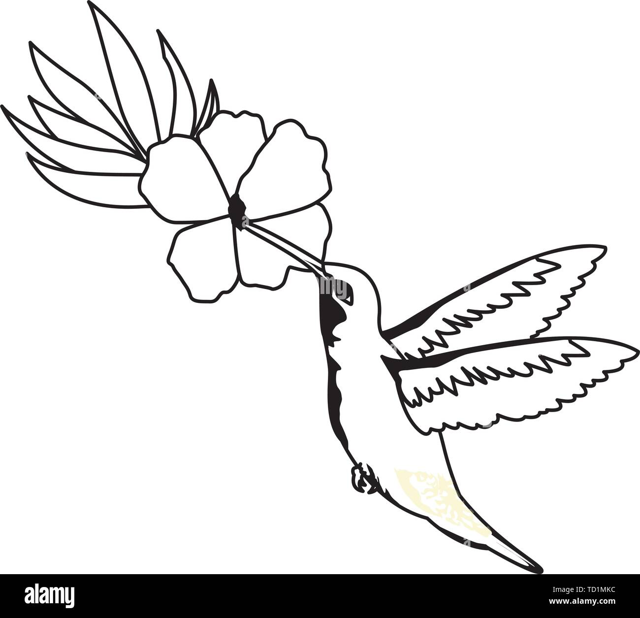 beautiful wild birds with exotic flower in black and white Stock Vector ...