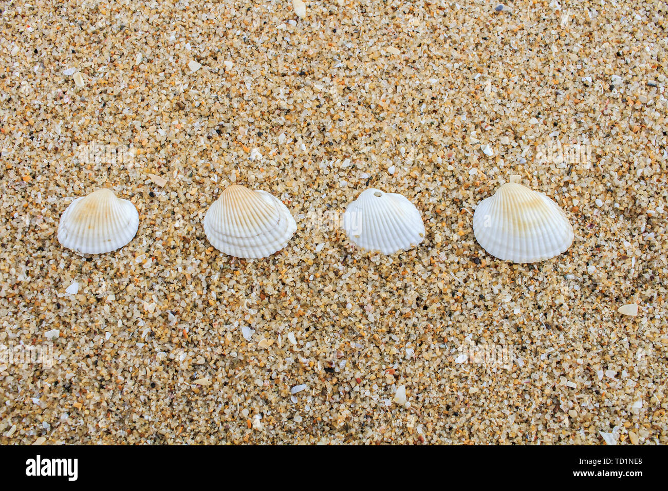 Summer sand font on sea hi-res stock photography and images - Alamy