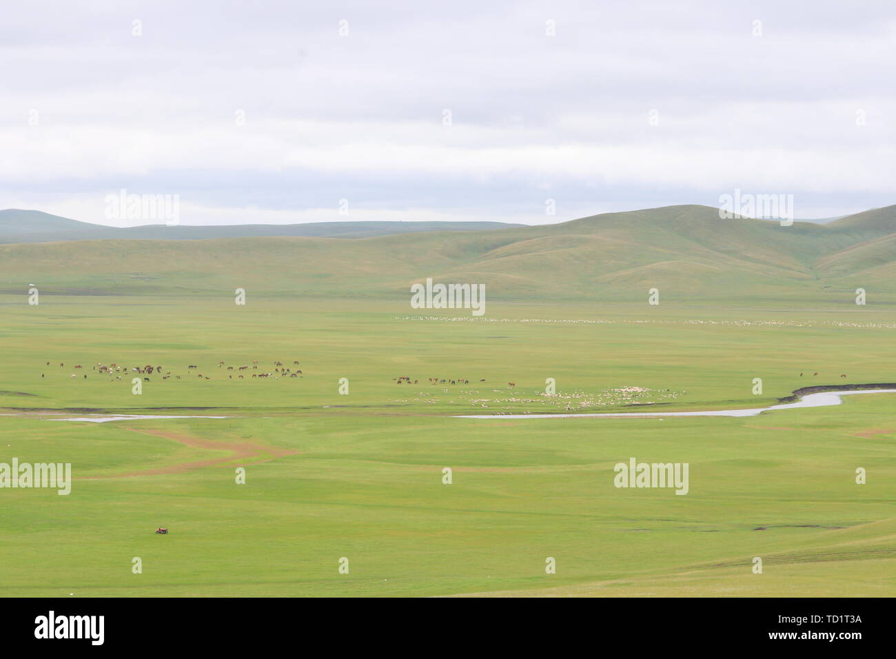 Erguna river erguna river wetland hi-res stock photography and images ...