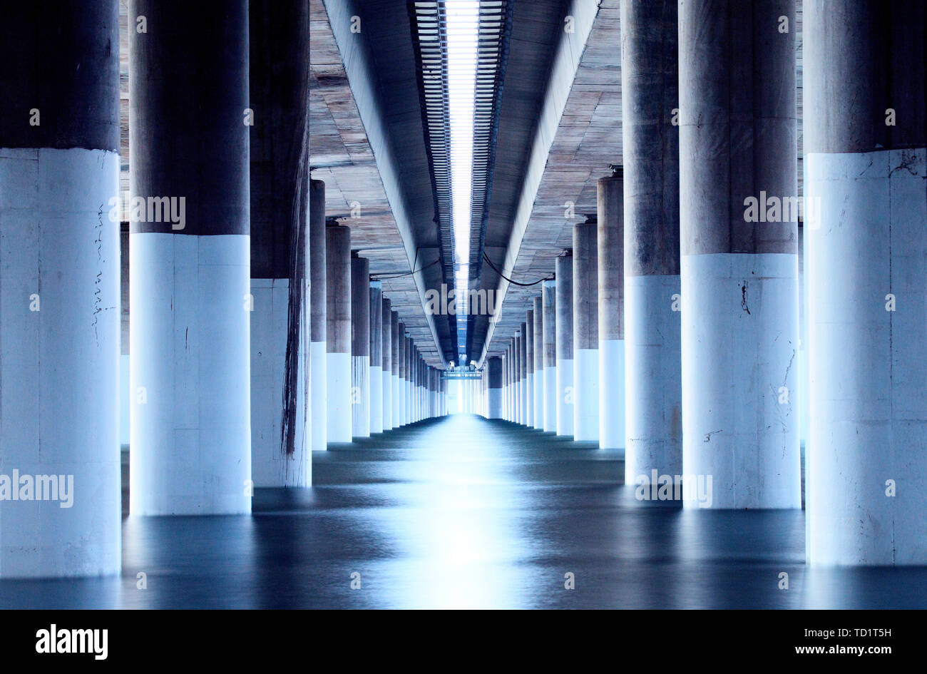 Cross-Sea Bridge Bridge Qingdao Urban Architecture Structure Bridge ...