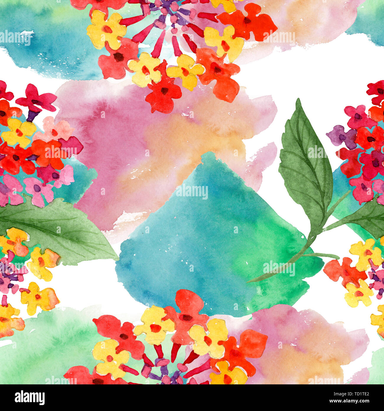 Red lantana floral botanical flowers. Wild spring leaf wildflower ...