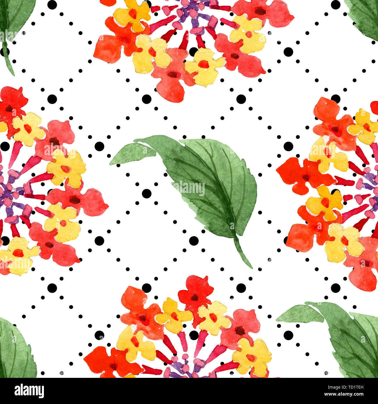 Red lantana floral botanical flowers. Wild spring leaf wildflower ...