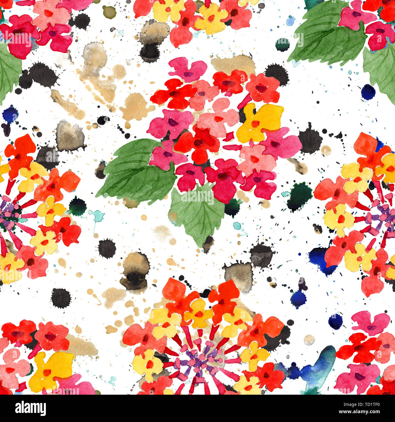 Red lantana floral botanical flowers. Wild spring leaf wildflower ...