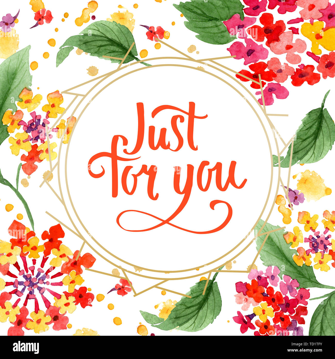 Red lantana floral botanical flowers. Wild spring leaf wildflower ...