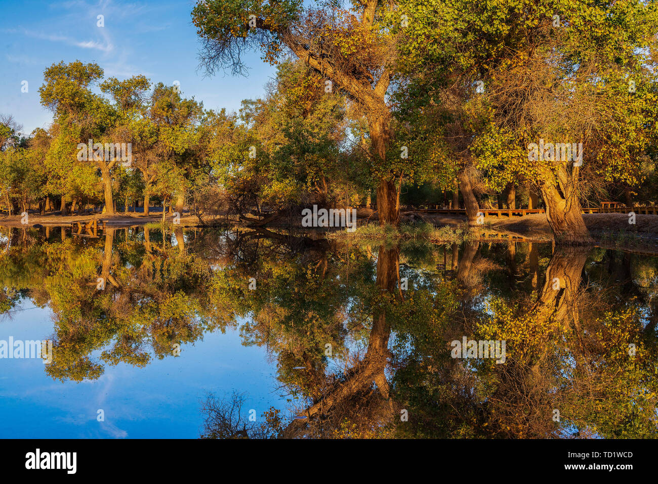 Hu yang and hu yang lin hi-res stock photography and images - Alamy